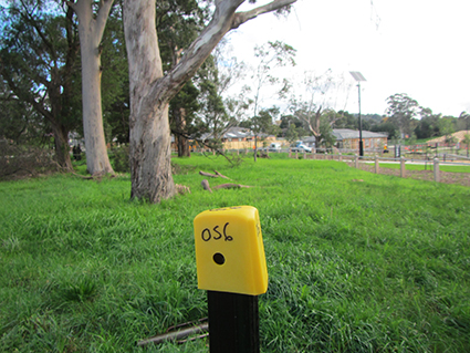 Ecological Restoration & Land Management | Practical Ecology